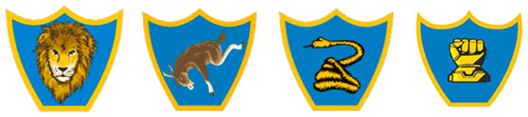 Royal Guards, 1st-5th – Unit Color Compendium